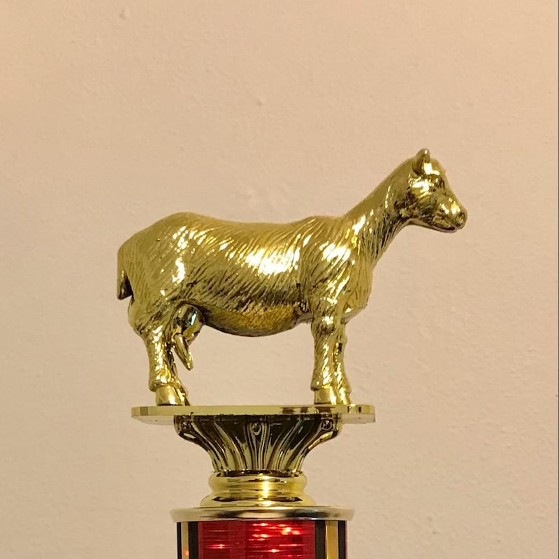 Animal Trophy - Etsy