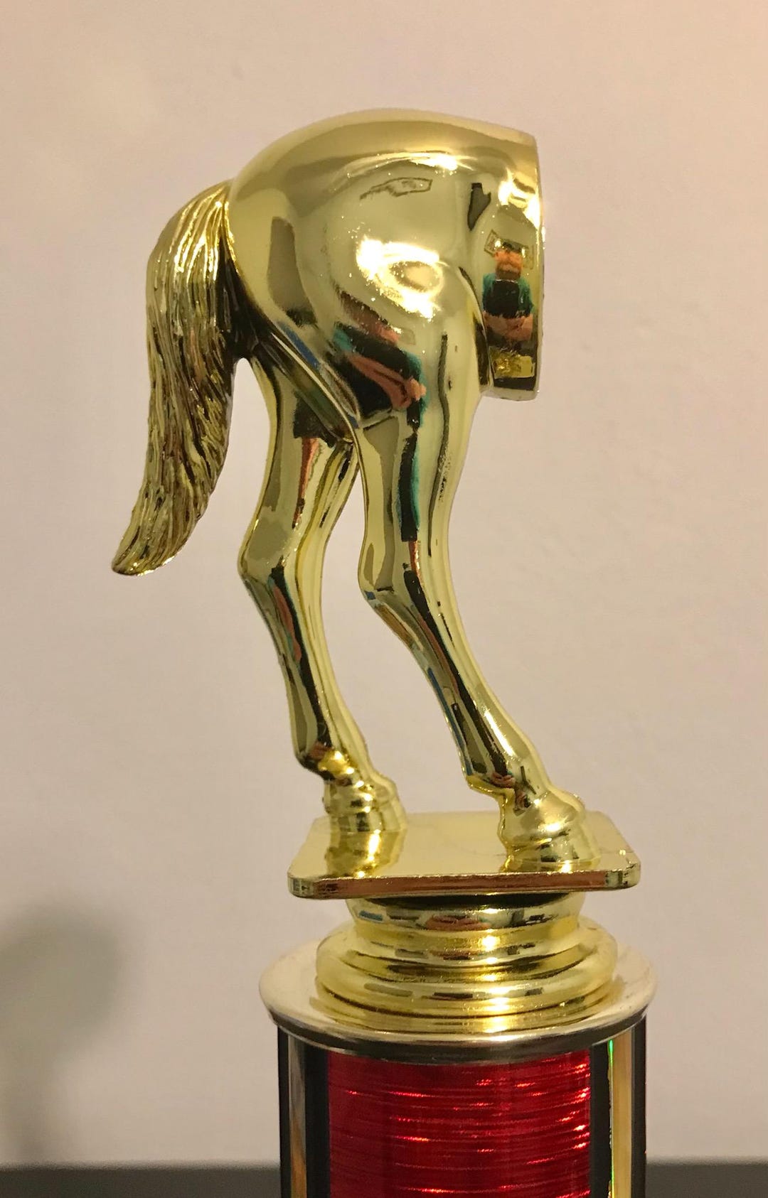9.75" Horse Ass Last Place Trophy Personalized Free - Etsy