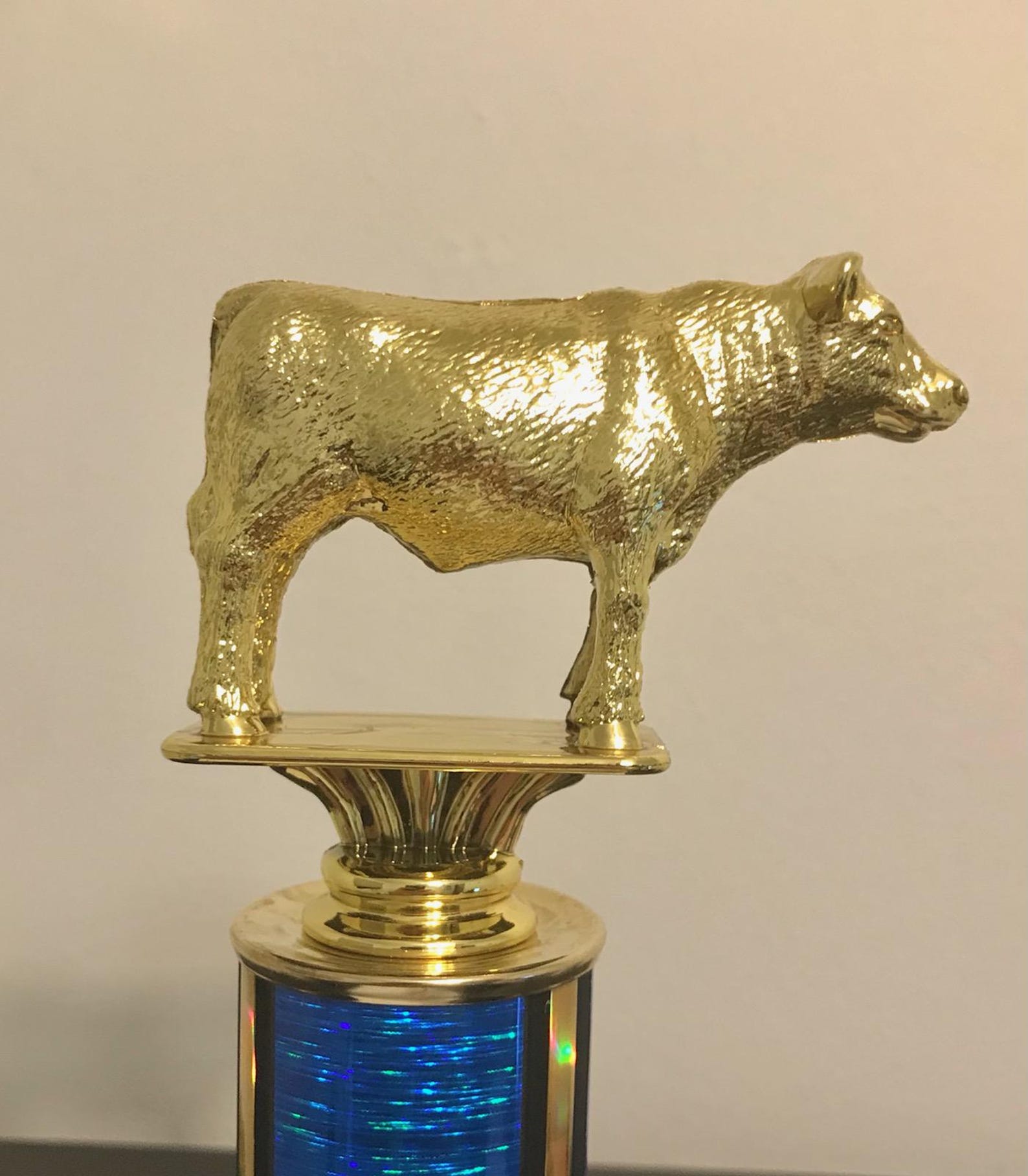 9" Angus Steer Trophy Personalized Free - Etsy