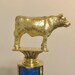 9" Angus Steer Trophy Personalized Free - Etsy