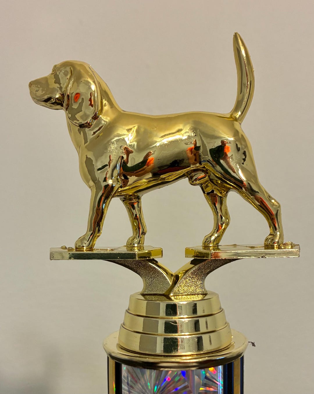 Beagle Dog Trophy Personalized Free - Etsy
