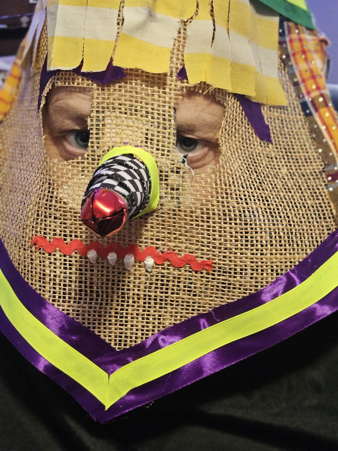 Cajun Mardi Gras Mask Masquerade Carnival Costume Chicken Chase Outfit ...