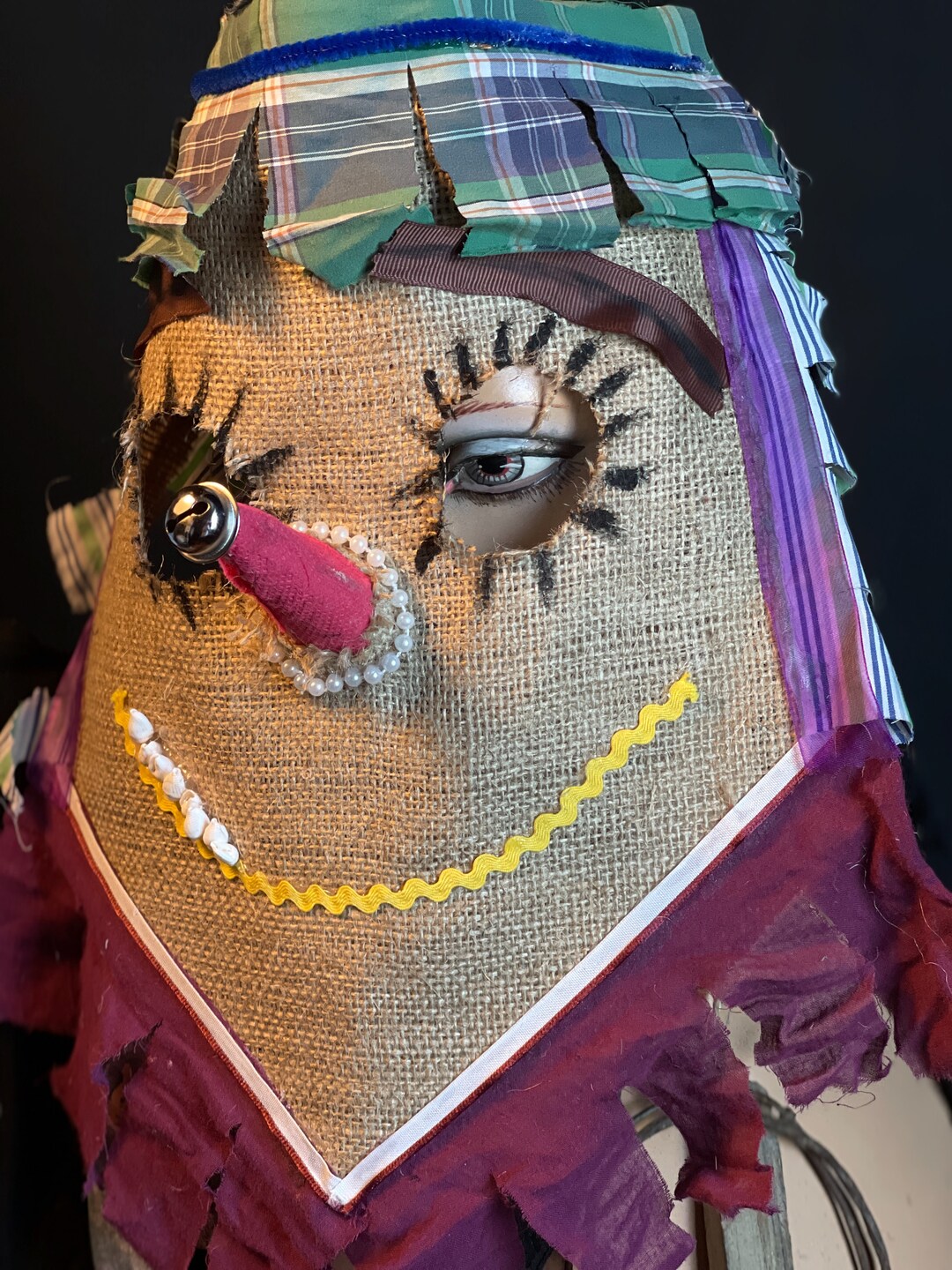 Cajun Mardi Gras Mask Masquerade Carnival Costume Chicken Chase Outfit ...