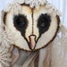 Barn Owl Masks for Halloween Costume, Creepy Adult Masquerade, Animal ...