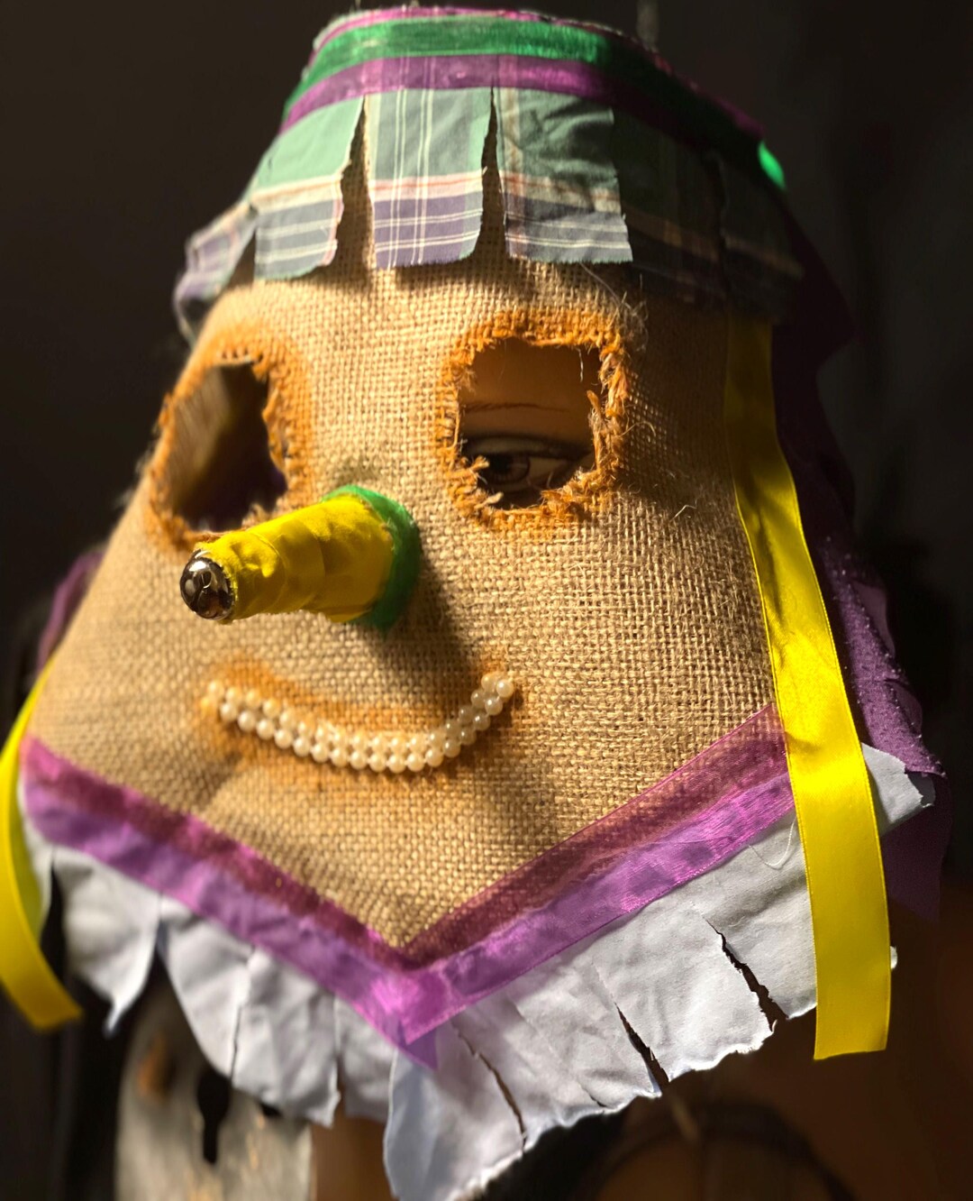 Cajun Mardi Gras Mask - Masquerade Carnival Costume - Chicken Chase ...