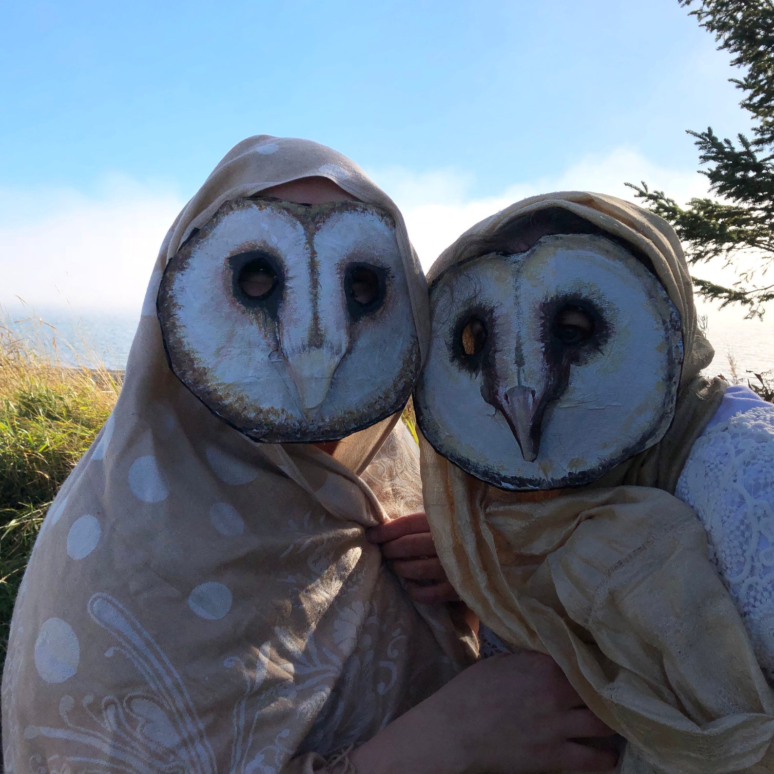 Barn Owl Masks for Halloween Costume, Creepy Adult Masquerade, Animal ...