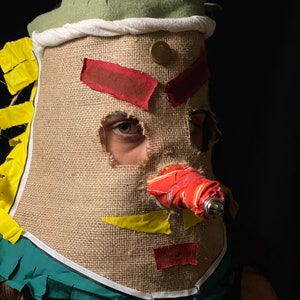 Cajun Mardi Gras Mask Masquerade Carnival Costume Chicken Chase Outfit ...