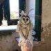 Barn Owl Masks, Adult Owl Halloween Costume, Props for Masquerade ...