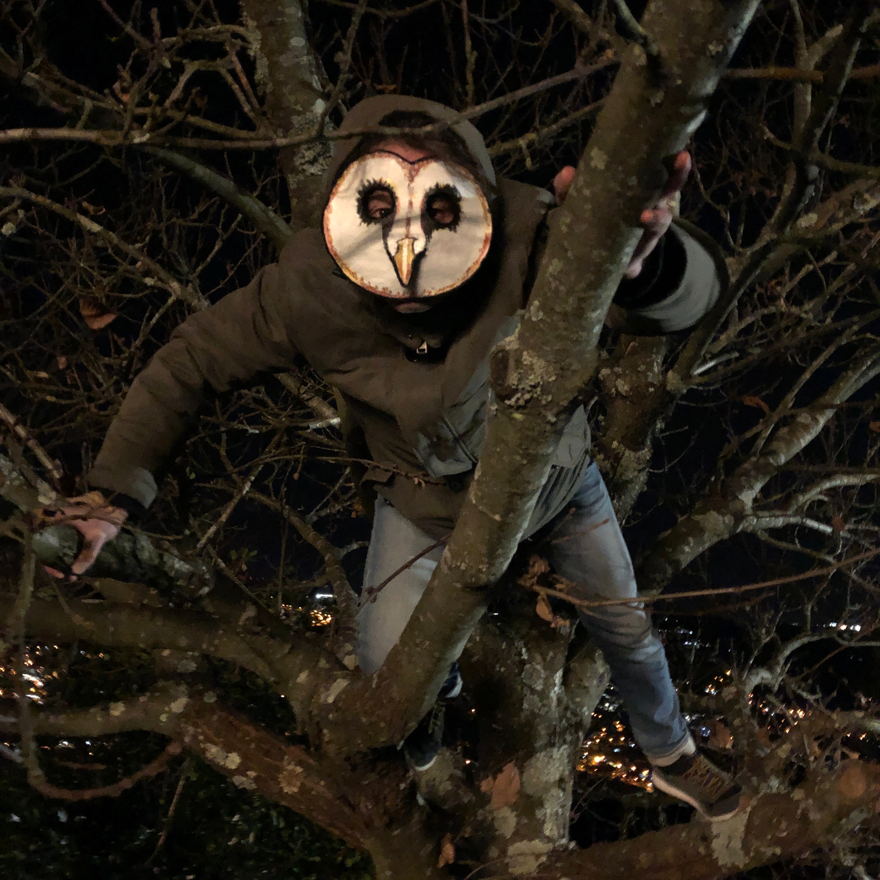 Barn Owl Masks Adult Owl Halloween Costume Props for - Etsy Canada