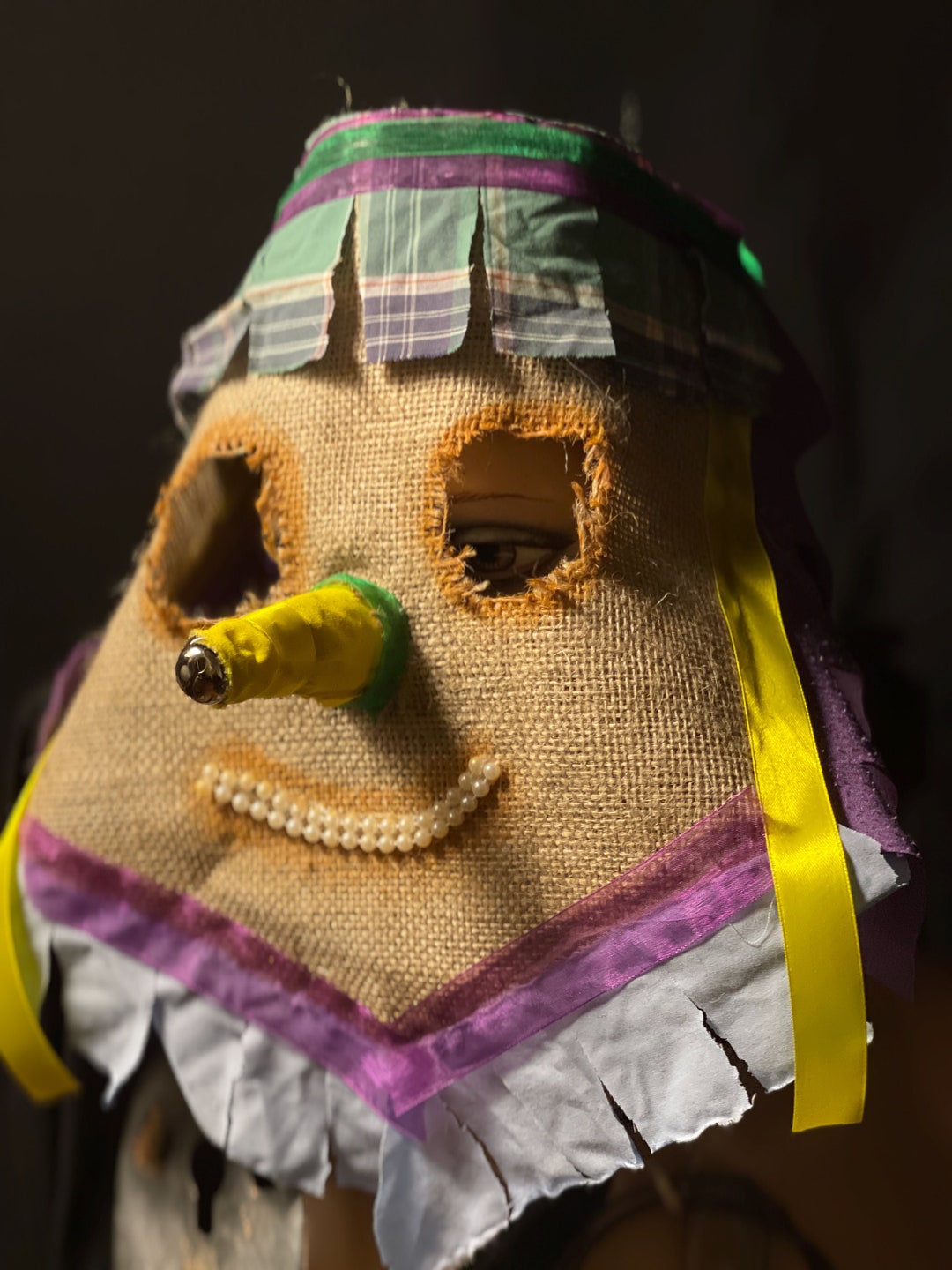 Cajun Mardi Gras Mask Masquerade Carnival Costume Chicken Chase Outfit ...