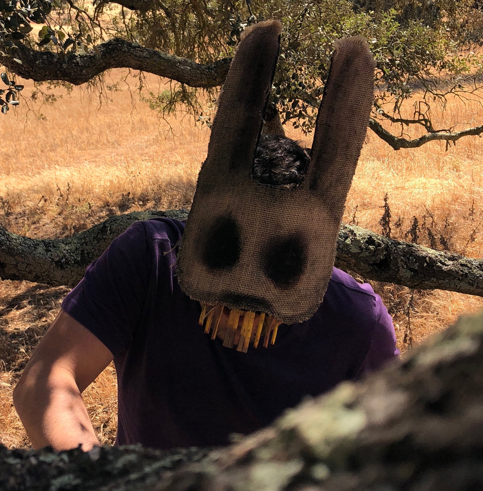 Creepy Scary Rabbit Masks Burlap Scarecrow Easter Bunny - Etsy