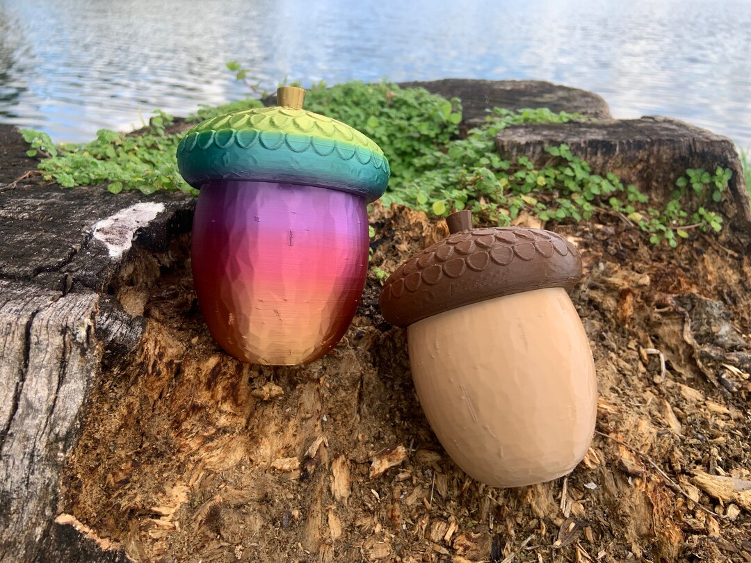 Acorn Dice Container - Etsy