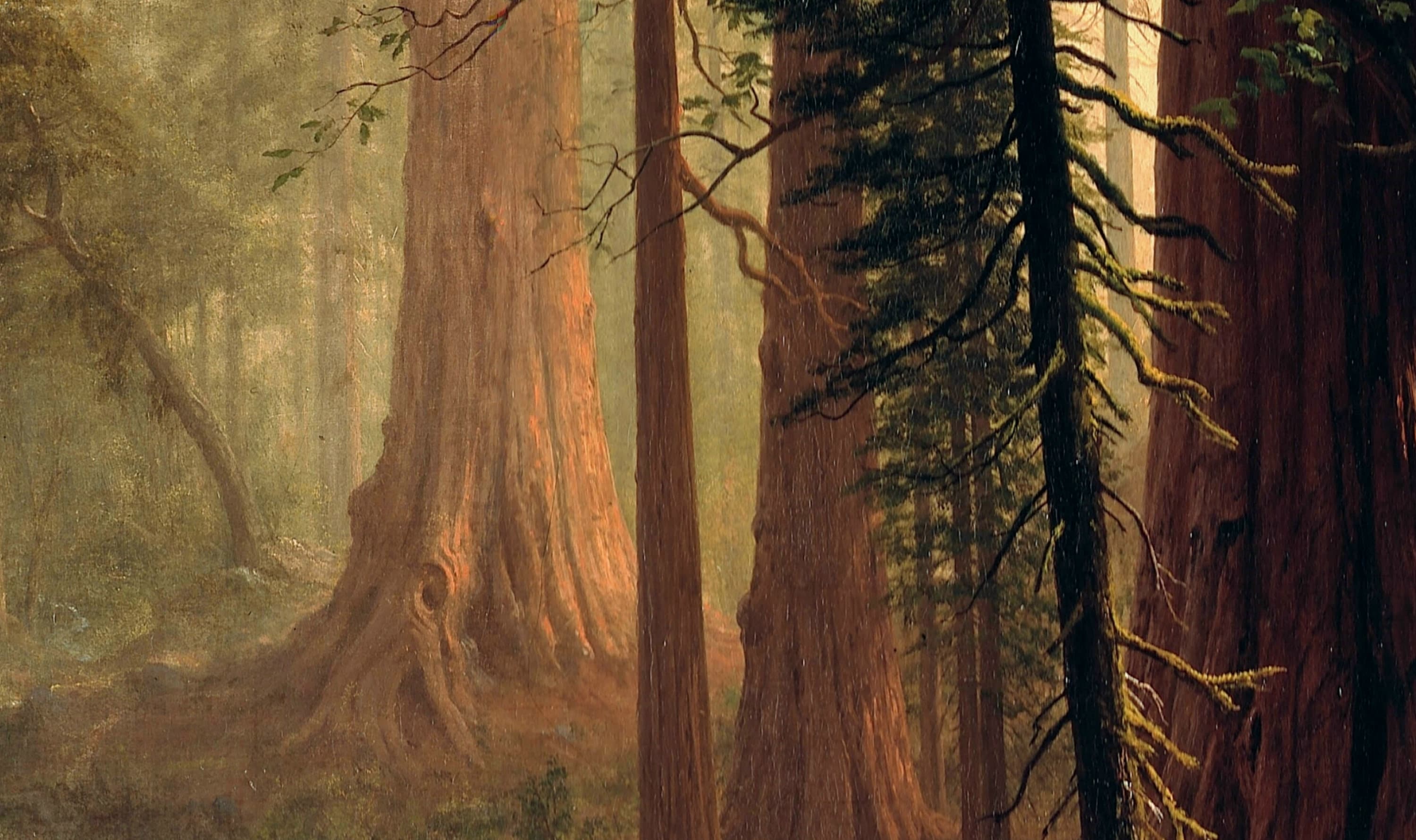 Albert Bierstadt Giant Redwood Trees of California | Etsy