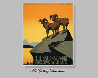 Nps Wildlife Poster | Etsy