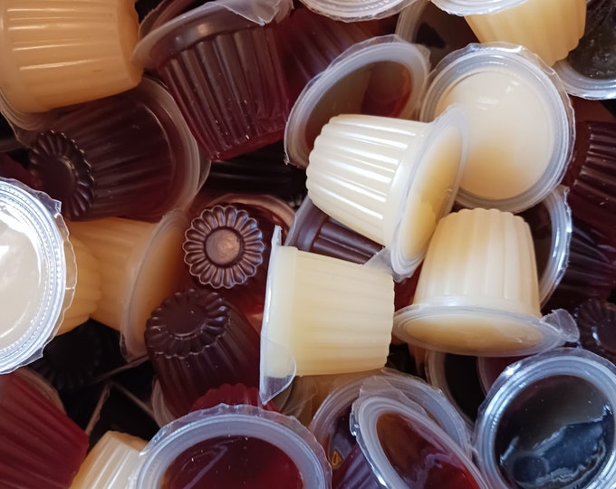 TAIWANESE BEETLE JELLY - 16g Insect Chow - Natural Sap, Brown Sugar and ...