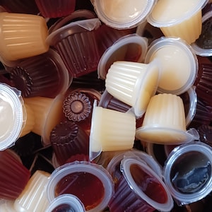 TAIWANESE BEETLE JELLY 16g Insect Chow Natural Sap, Brown Sugar and ...
