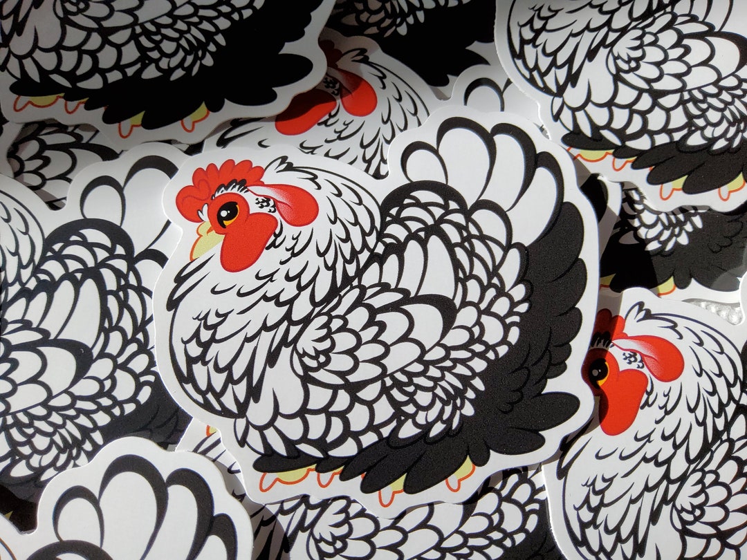 Silver Laced Cochin Chicken Sticker - Etsy