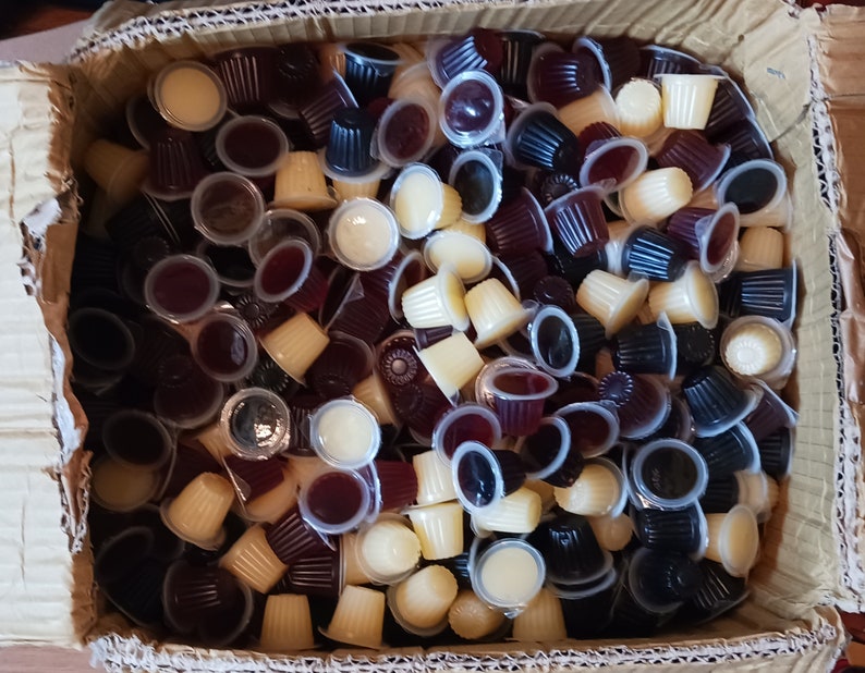 TAIWANESE BEETLE JELLY 16g Insect Chow Natural Sap Brown - Etsy