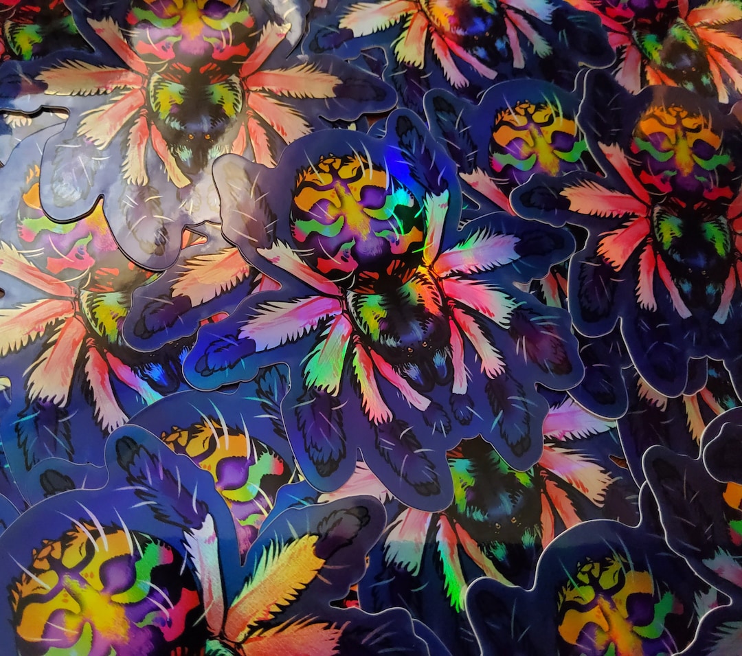 Typhochlaena Seladonia Holographic Sticker - Brazilian Jewel Tarantula ...