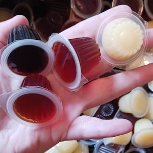 TAIWANESE BEETLE JELLY 16g Insect Chow Natural Sap, Brown Sugar and ...