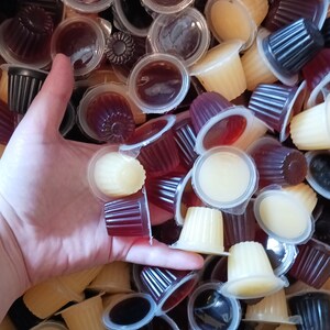 TAIWANESE BEETLE JELLY 16g Insect Chow Natural Sap, Brown Sugar and ...