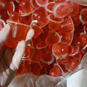 JAPANESE BEETLE JELLY 16g Insect Chow Natural Sap, Peach and Longevity ...