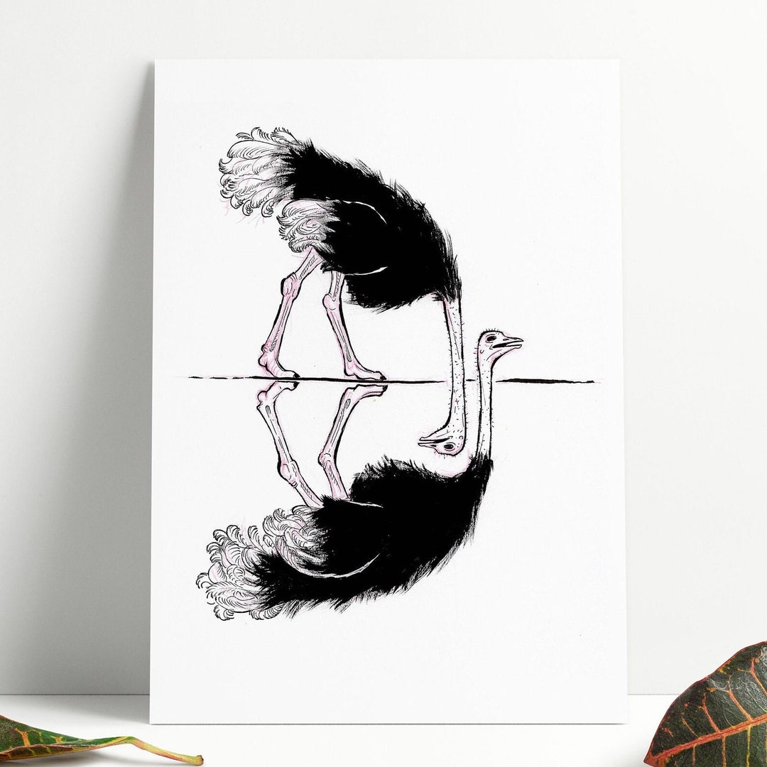 Ostrich Print - Ostrich Decor - Ostrich Art - Ostrich Wall Art - Big ...