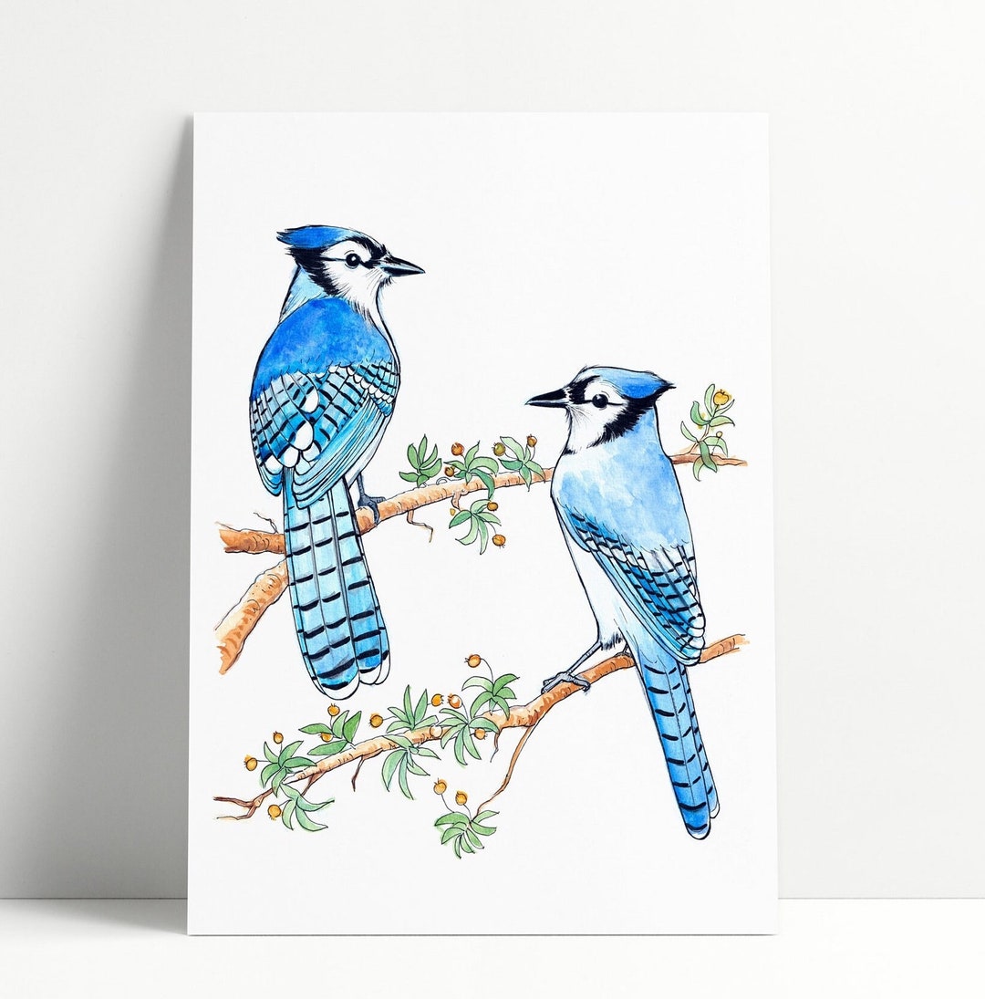 Blue Jay Print - Blue Jay Couple - Blue Jay Watercolor - Bird Painting ...