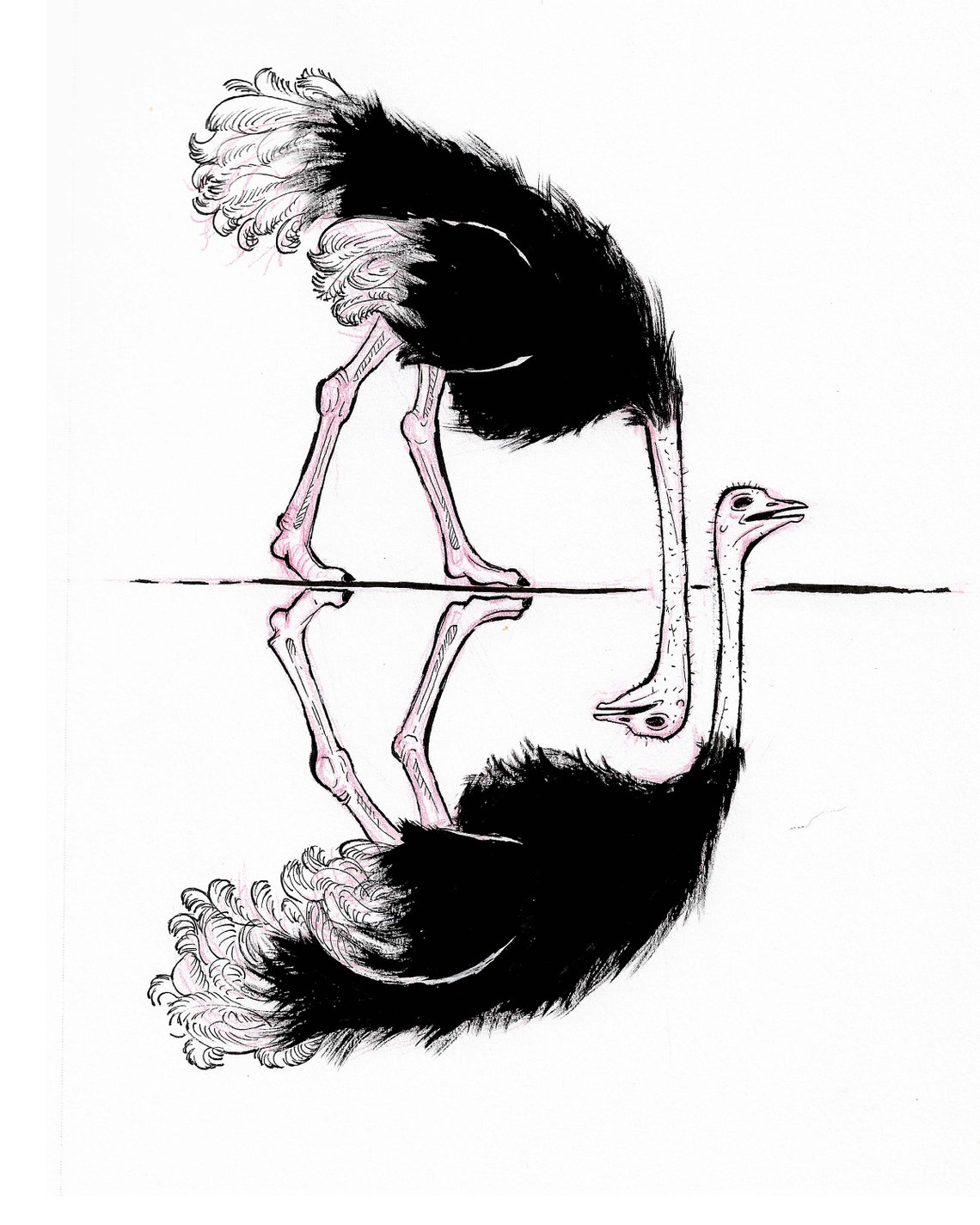 Ostrich Print Ostrich Decor Ostrich Art Ostrich Wall Art - Etsy