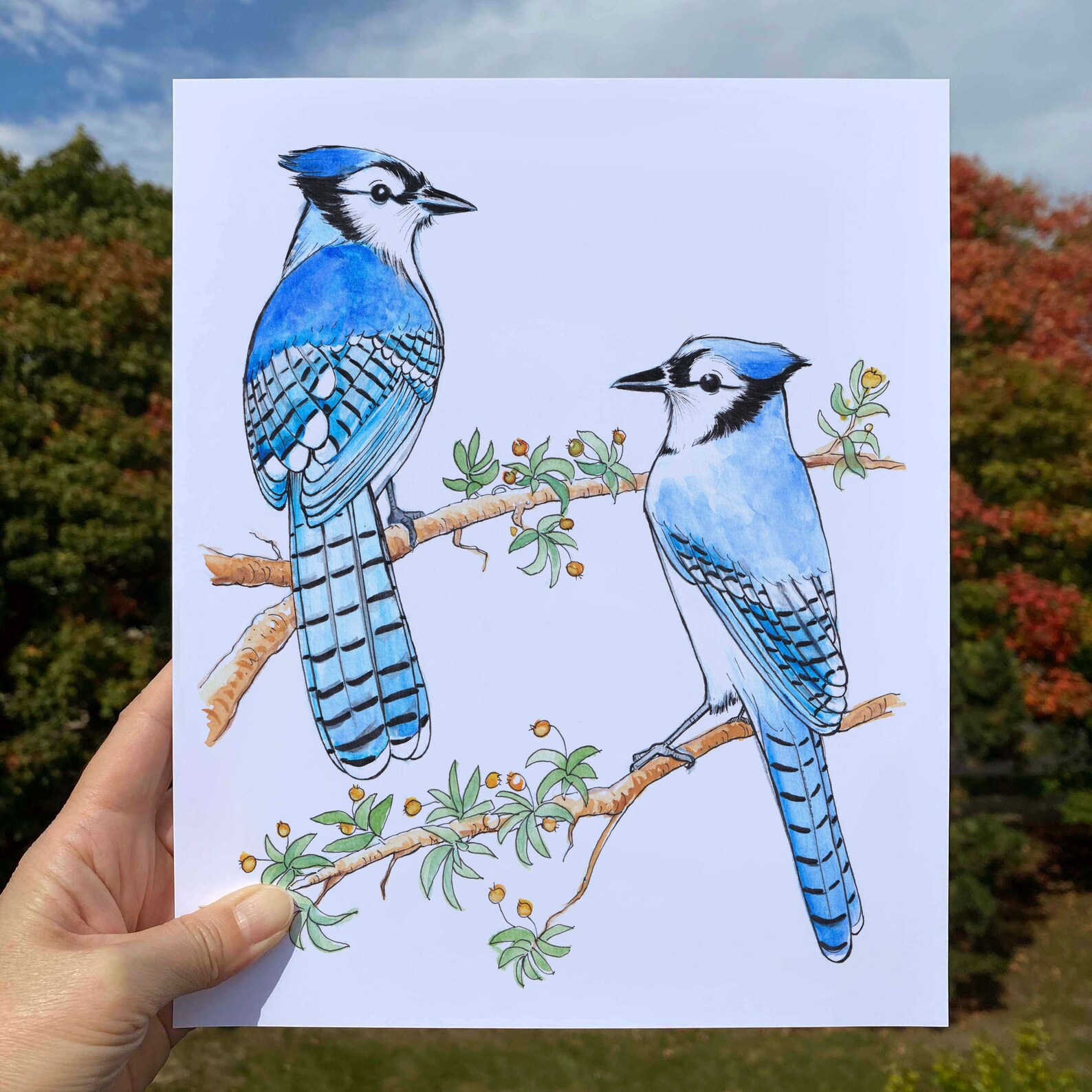 Blue Jay Print - Blue Jay Couple - Blue Jay Watercolor - Bird Painting ...