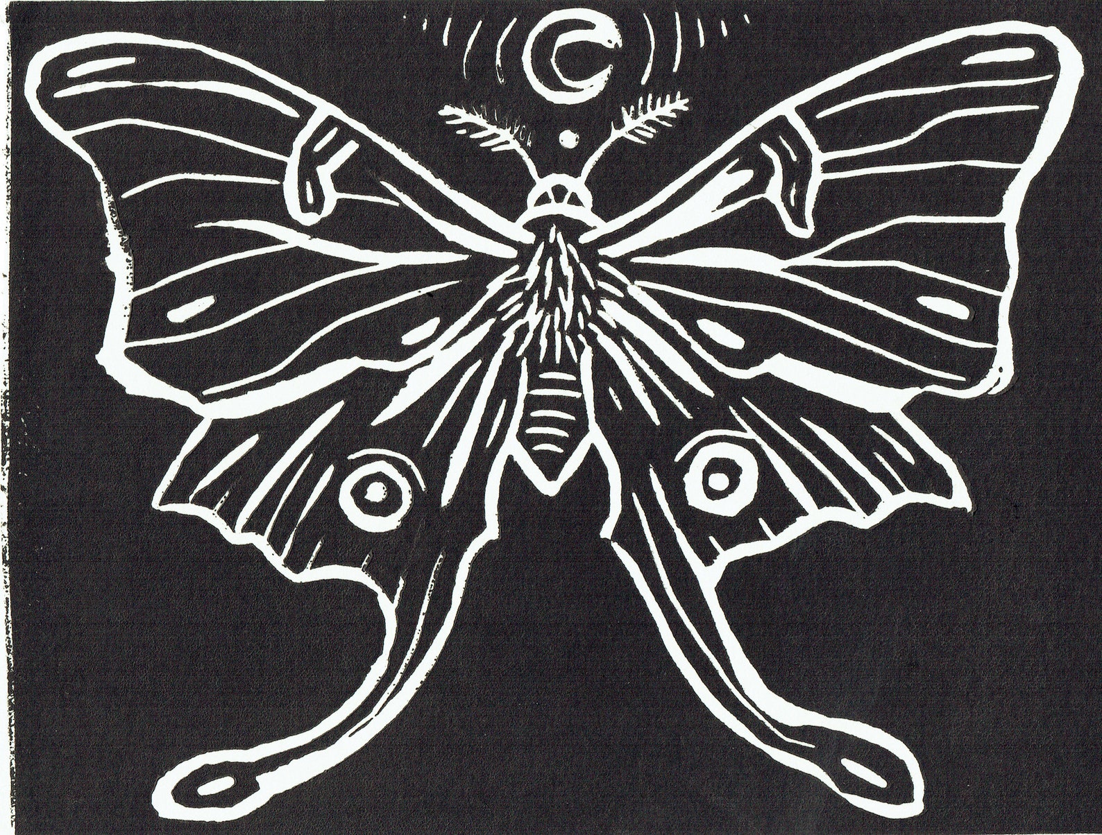 Luna Moth Linocut Print - Etsy
