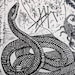 Snake and Scorpion Woodcut - Etsy