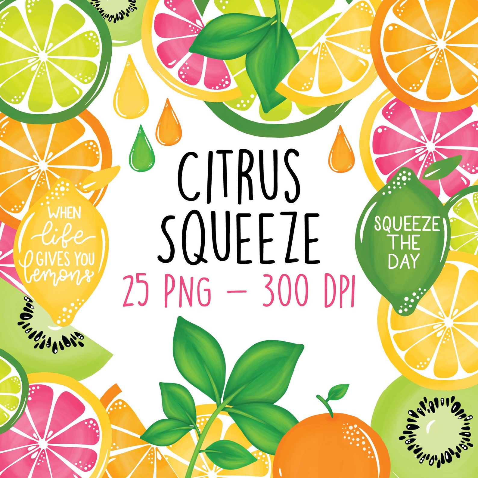 Fruit Clip Art | Fruit Clipart | Digital Clip Art Set | Citrus Fruit ...