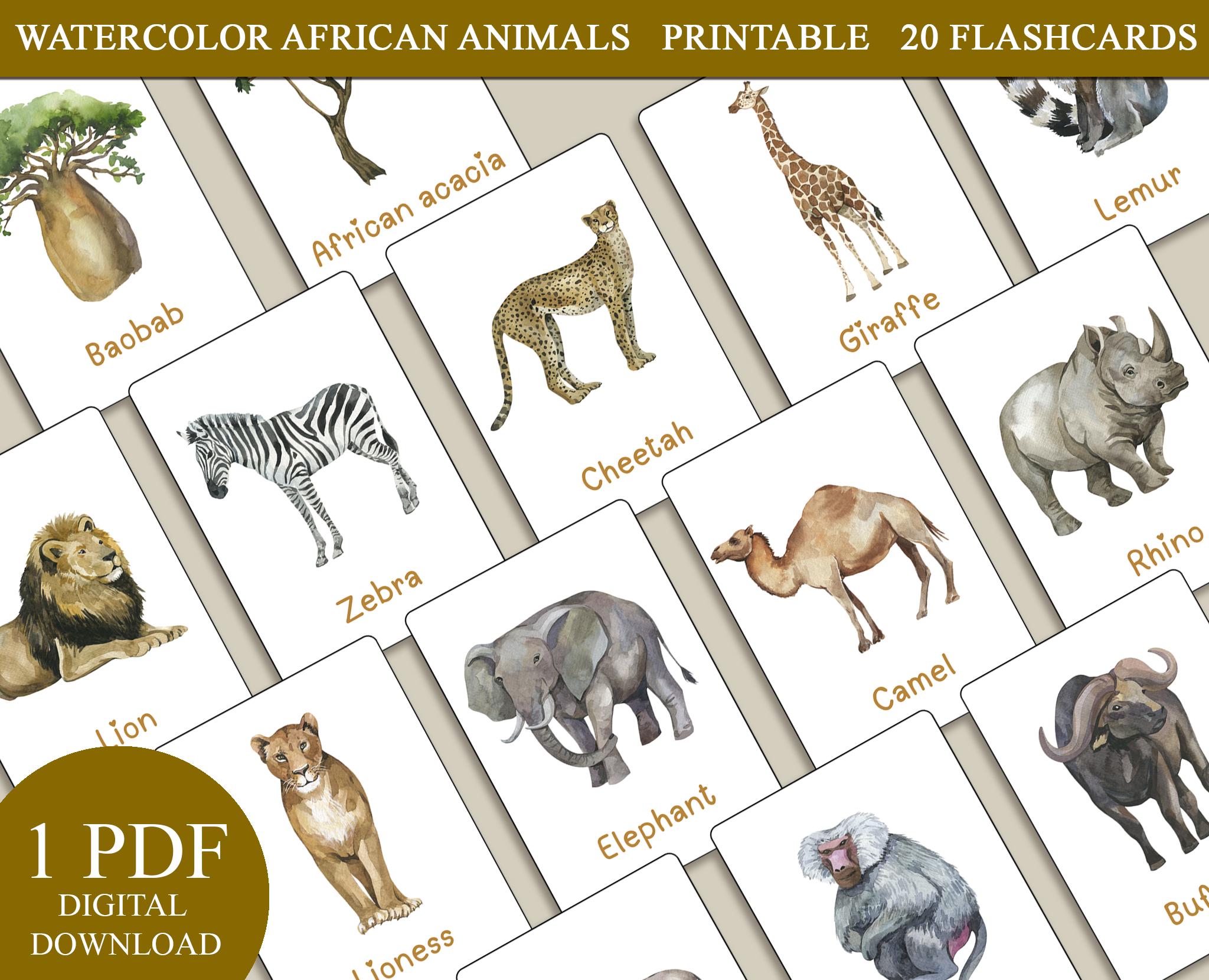 African Animals Flashcards, Learning Flashcards, Ready to Print PDF ...