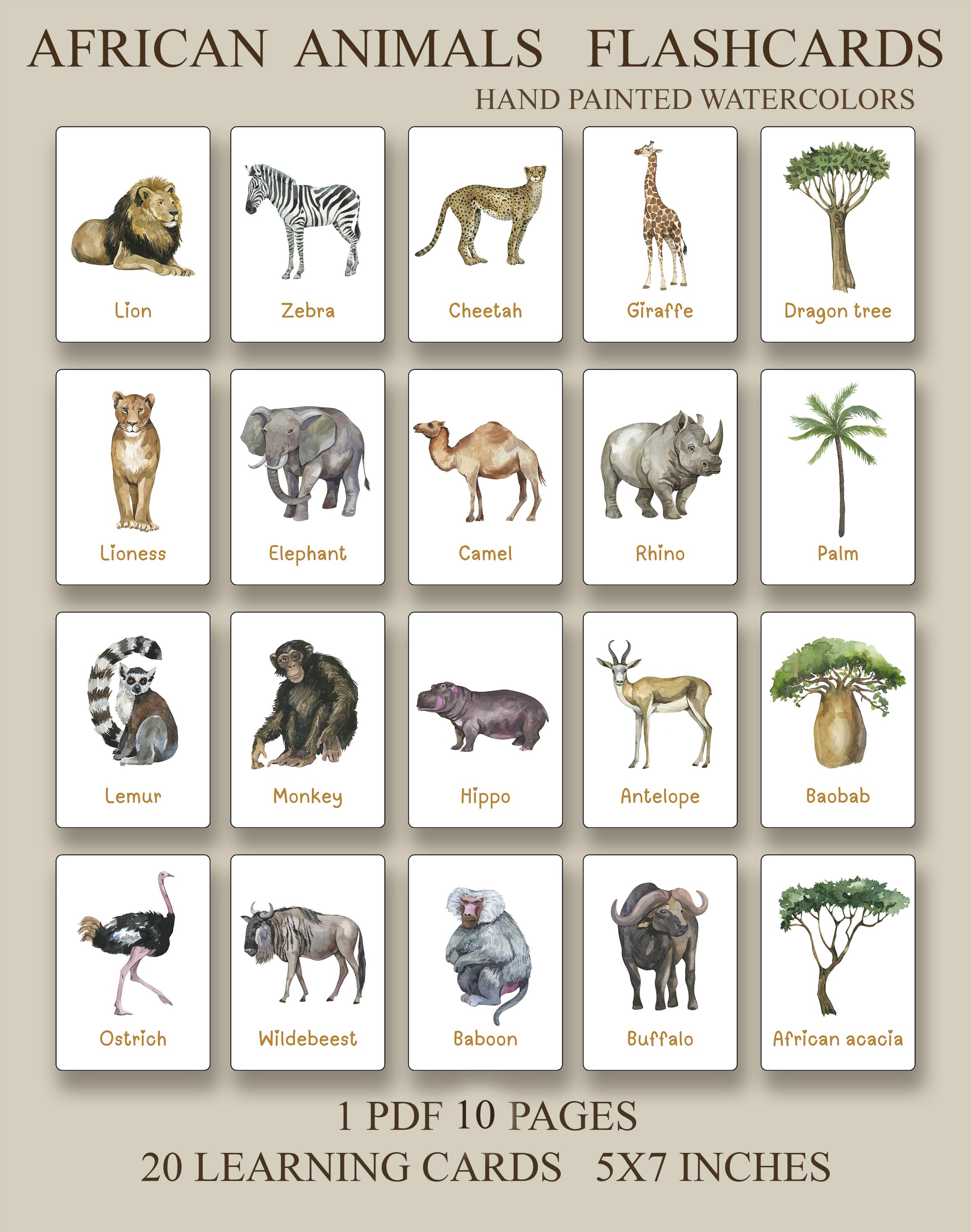 African Animals Flashcards, Learning Flashcards, Ready to Print PDF ...