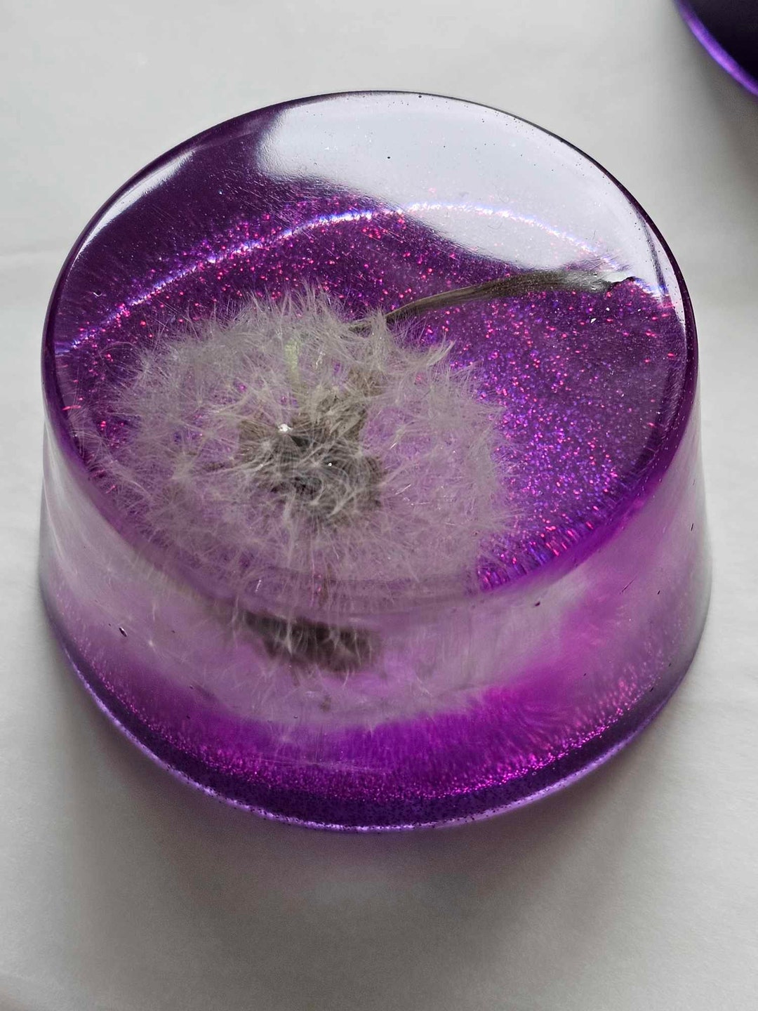 Dandelion Clocks Paperweights Wild Garden Unusual, Office Gifts Resin ...