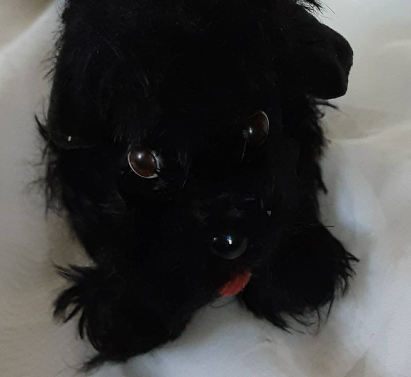 Steiff Dog Poodle Snoby Vintage Collectible - Etsy