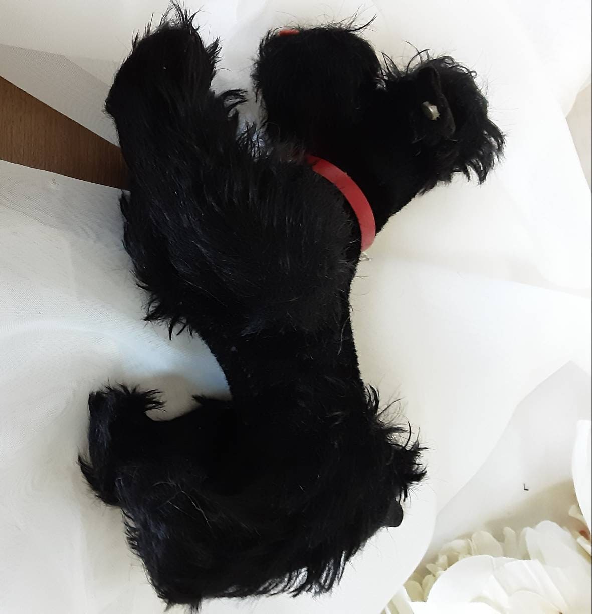 Steiff Dog Poodle Snoby Vintage Collectible - Etsy