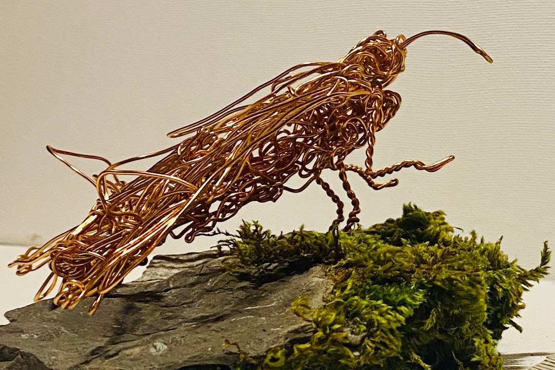 Copper Wire Art Moth Sculpture Insect - Etsy