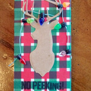 Christmas Gift Card Holder: Reindeer With Lights variety Packs ...