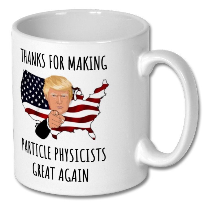BEST PARTICLE PHYSICIST Mug Particle Physicist Particle - Etsy