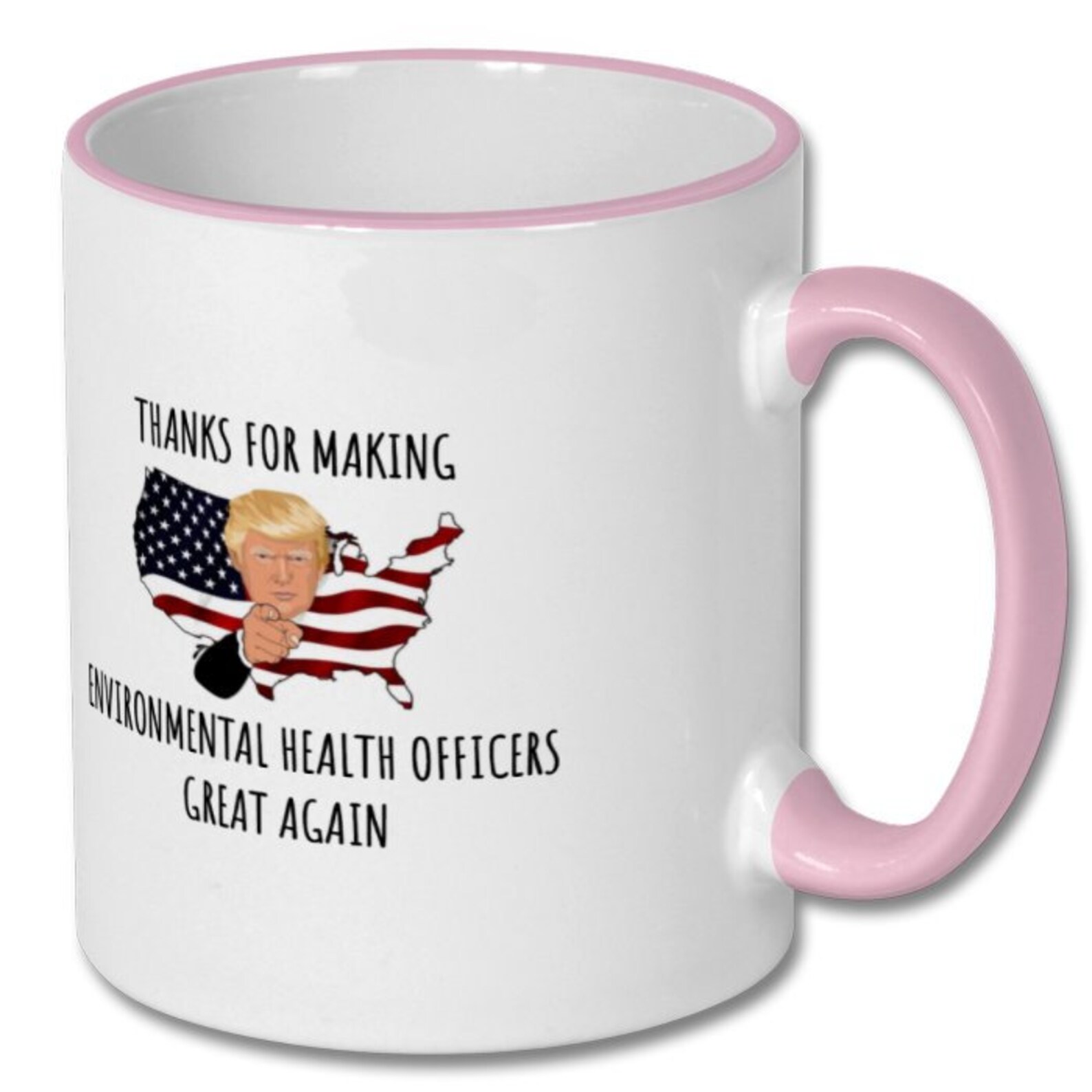 Funny ENVIRONMENTAL HEALTH OFFICER Mug, Environmental Health Officer ...