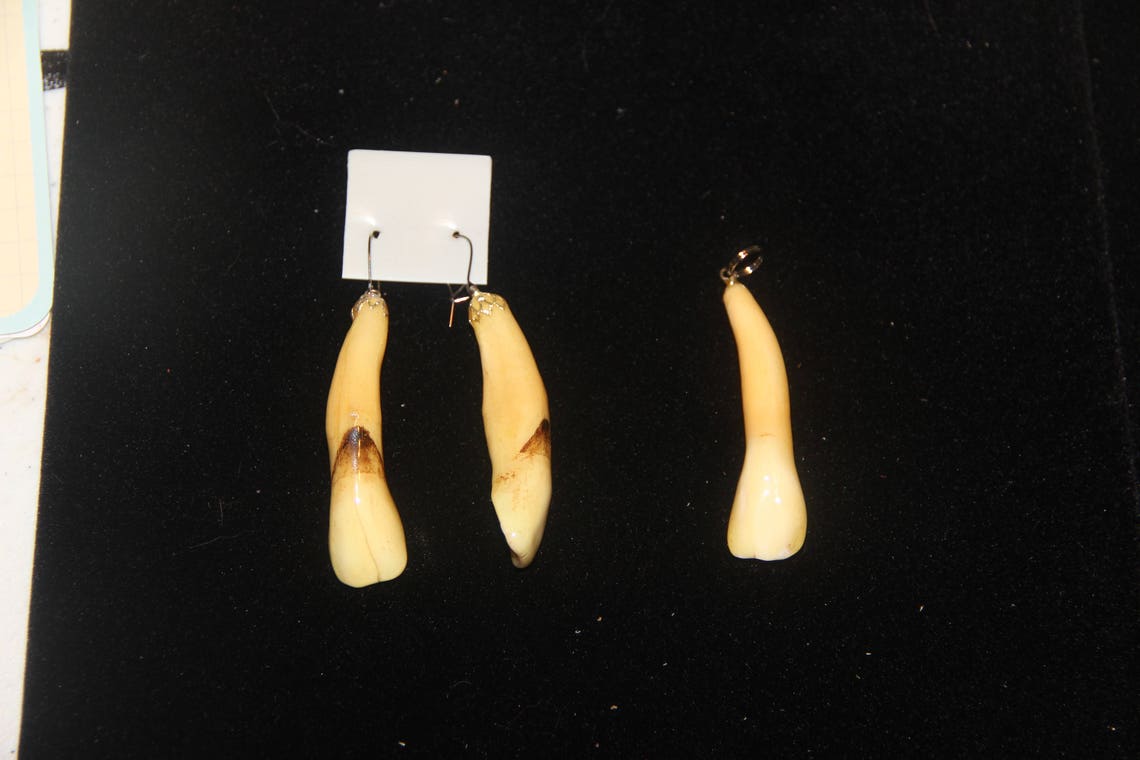 MOOSE TOOTH Earrings and Pendant Set Necklace Natural Arts - Etsy