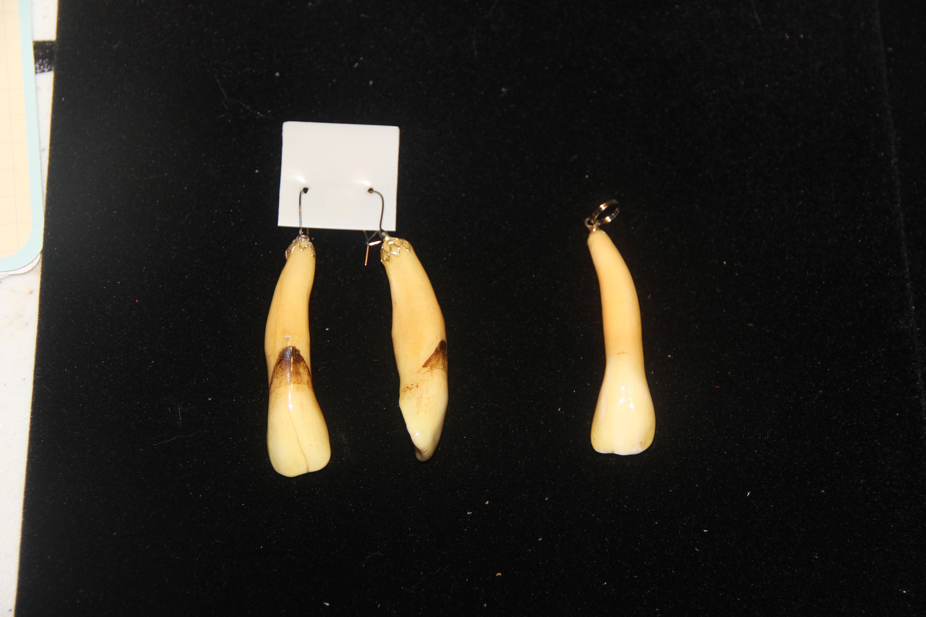 MOOSE TOOTH Earrings and Pendant Set Necklace Natural Arts - Etsy