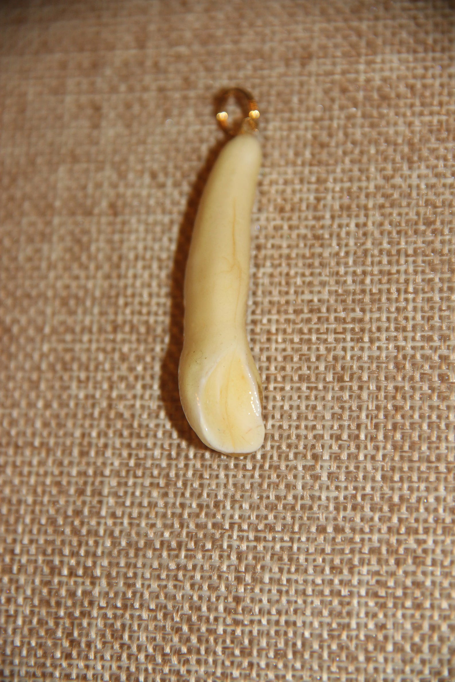 MOOSE TOOTH Earrings and Pendant Set Necklace Natural Arts - Etsy