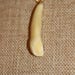 MOOSE TOOTH Earrings and Pendant Set Necklace Natural Arts - Etsy