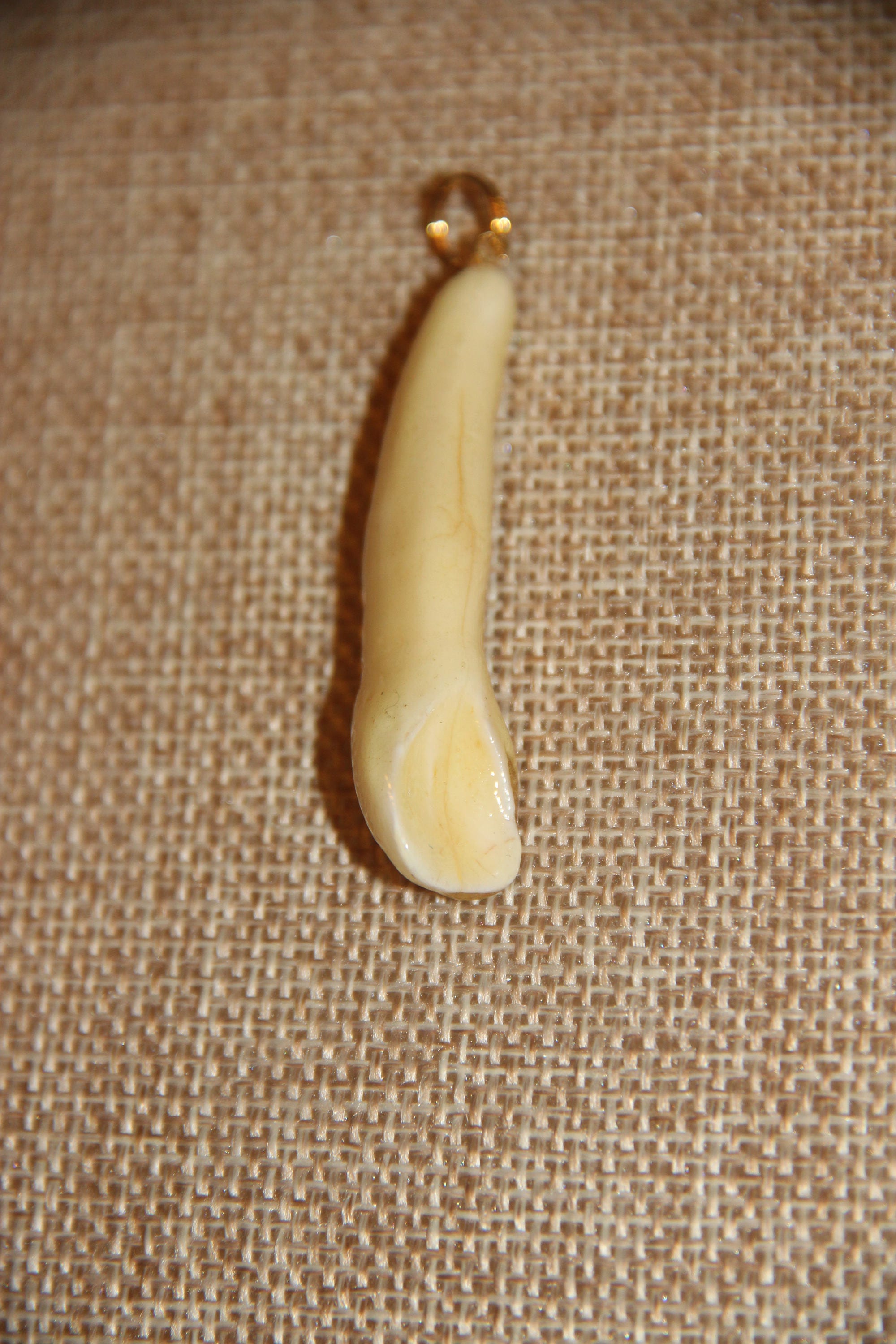 MOOSE TOOTH Earrings and Pendant Set Necklace Natural Arts - Etsy