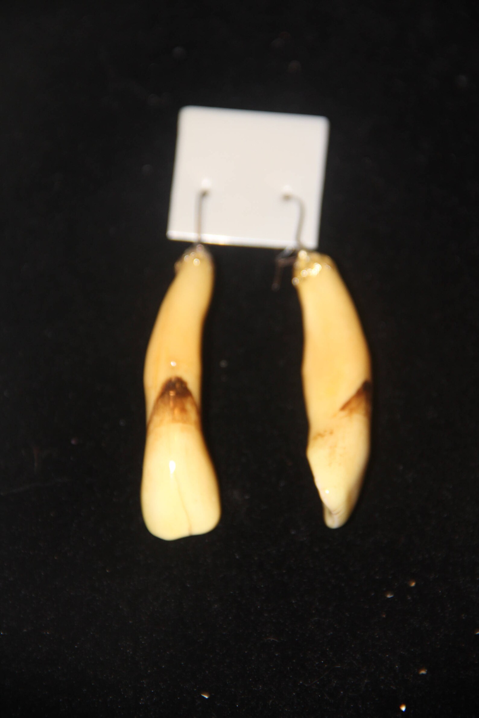 MOOSE TOOTH Earrings and Pendant Set Necklace Natural Arts - Etsy