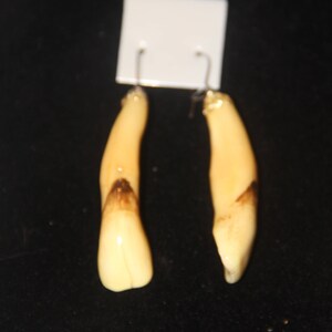 MOOSE TOOTH Earrings and Pendant Set Necklace Natural Arts - Etsy