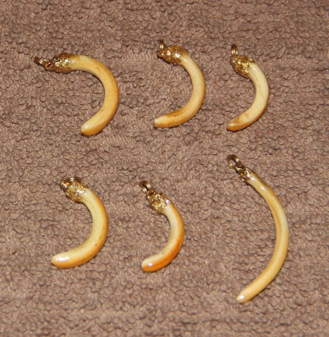 One Pendant Muskrat Tooth Pendant Natural Arts Recycled Jewelry - Etsy